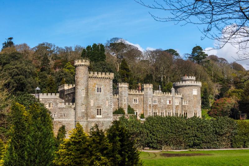 Shanbally Castle: A Lost Treasure | John P. Morrissey